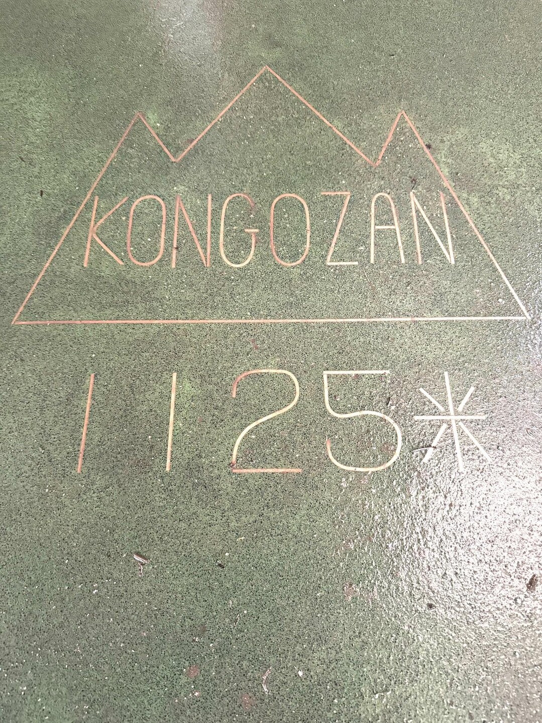 金剛山・葛木岳 / mt.take4さんの金剛山・二上山・大和葛城山の活動データ | YAMAP / ヤマップ