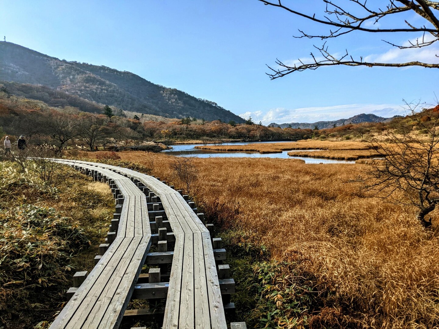 赤城山（黒檜山～駒ヶ岳～覚満淵） / mdkさんの赤城山・黒檜山・荒山の活動データ | YAMAP / ヤマップ