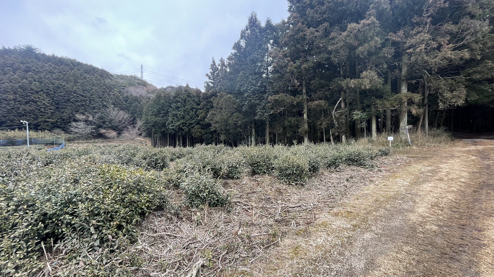 東海道鈴鹿は曇る☁️あいの土山雨が降る🌧 東海道五十三次坂下宿・土山宿・水口宿の写真21枚目 三ツ子、四方草への道。 全てが