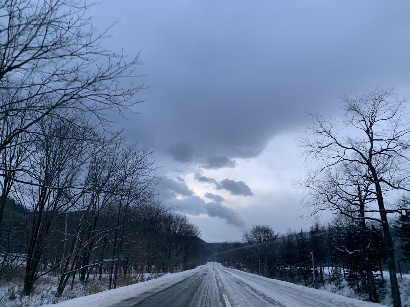わやスケートリンクからのヌメヌメ林道。 ... / sho!!さんのモーメント | YAMAP / ヤマップ