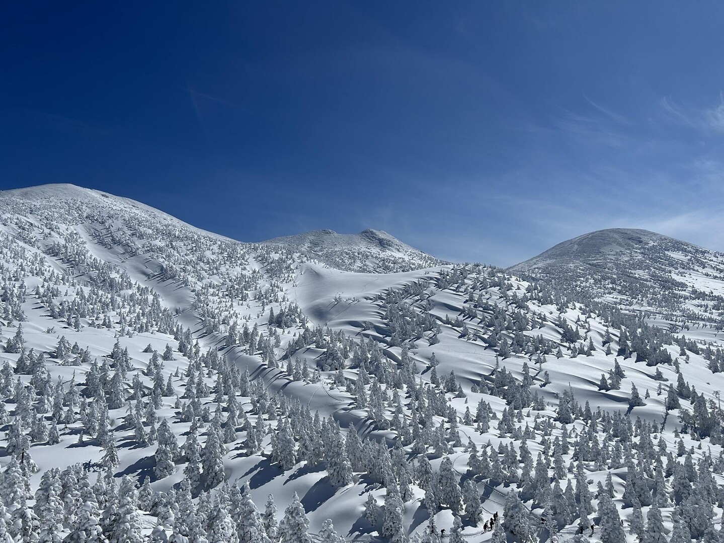 八甲田山 ロープウェイ〜大岳ヒュッテ〜箒場 PART2 / かわべさんの八甲田山・高田大岳・雛岳の活動データ | YAMAP / ヤマップ