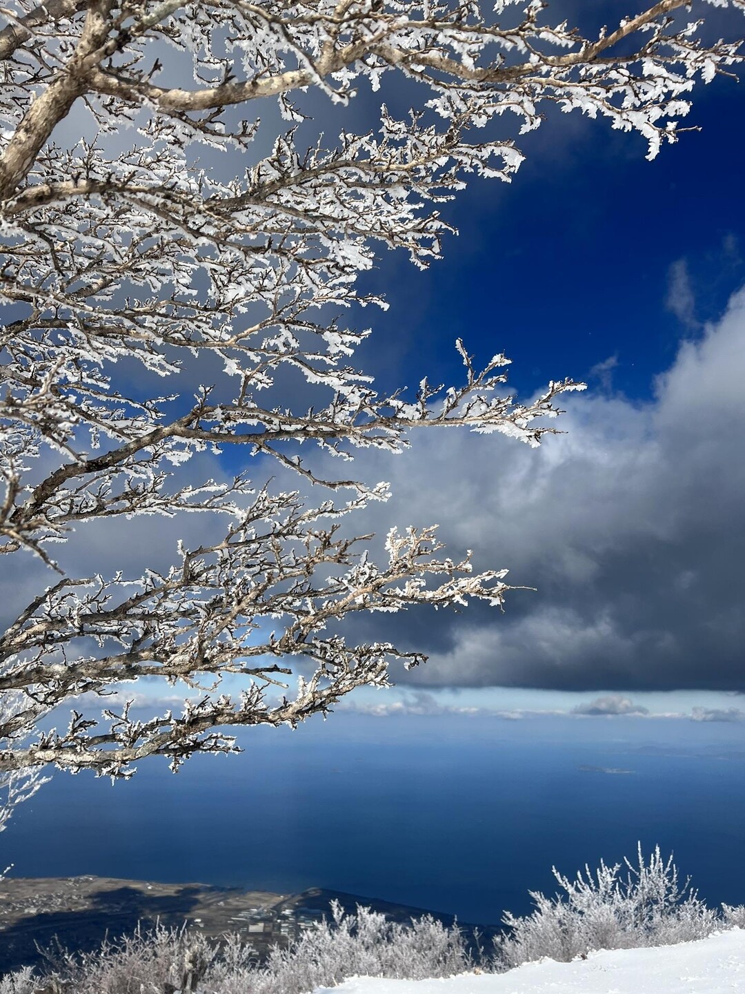 赤星山 / eriさんの赤星山・豊受山の活動データ | YAMAP / ヤマップ