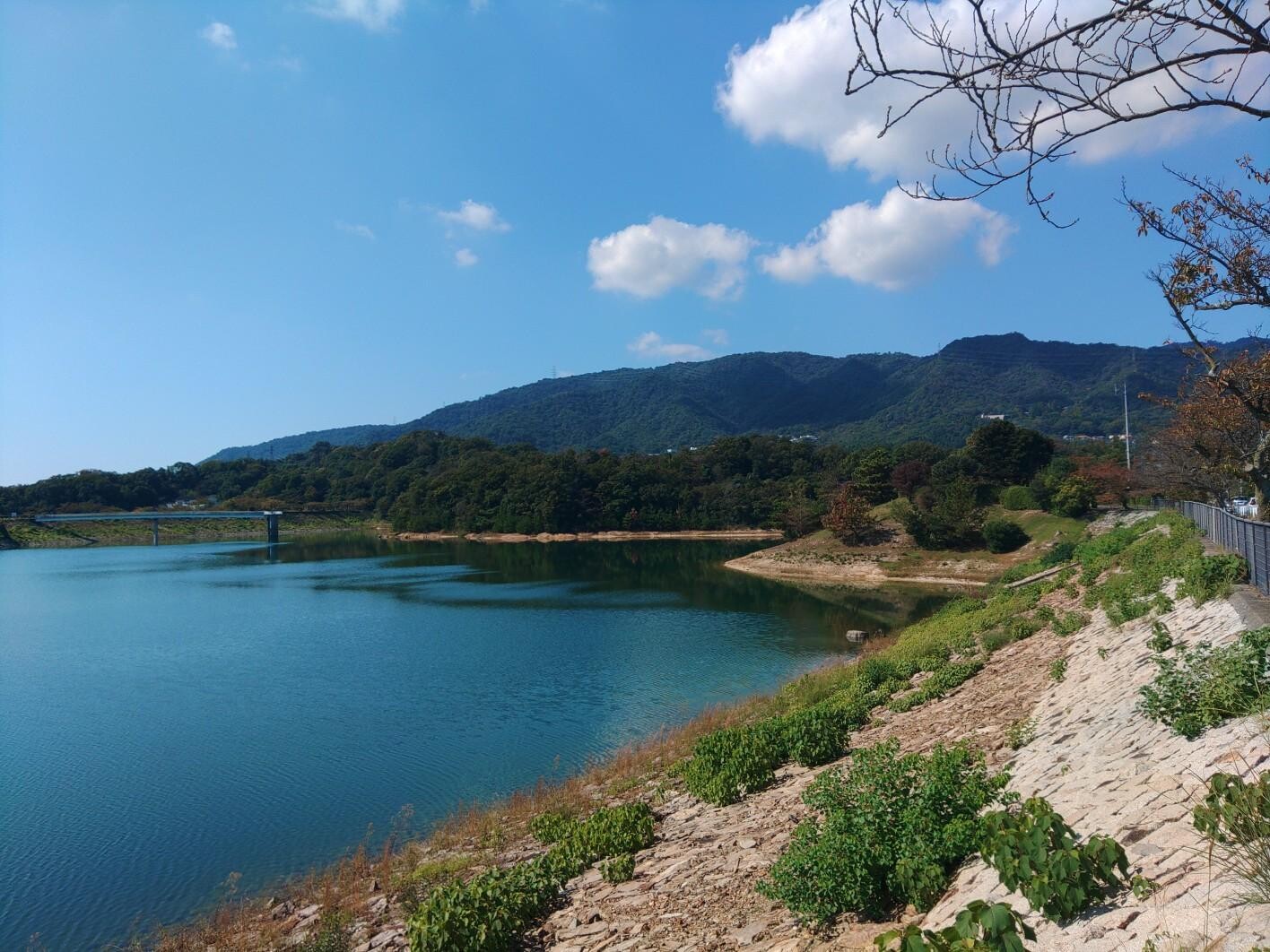 132：ノンビリ散歩で足慣らし in 観音山 ＆ ごろごろ岳 / Shinさんの六甲山・長峰山・摩耶山の活動データ | YAMAP / ヤマップ