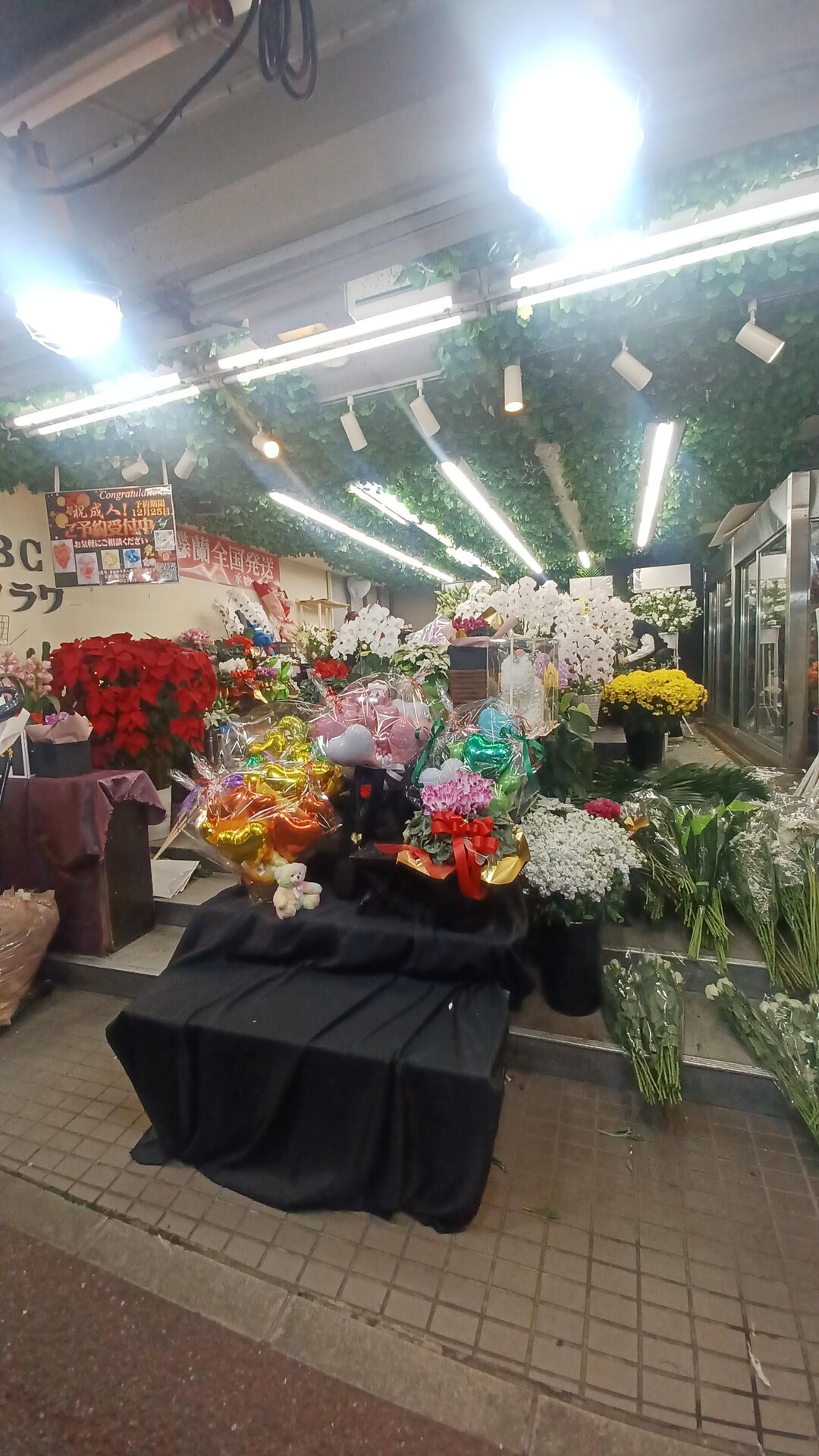 『夜の中洲には花屋💐が似合う 』の巻 ... / マロさんのモーメント | YAMAP / ヤマップ