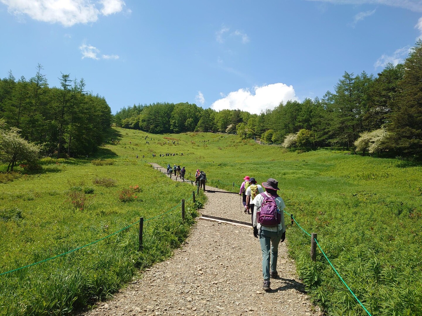 アカノラ山・入笠山 / kontomoさんの入笠山の活動データ | YAMAP / ヤマップ