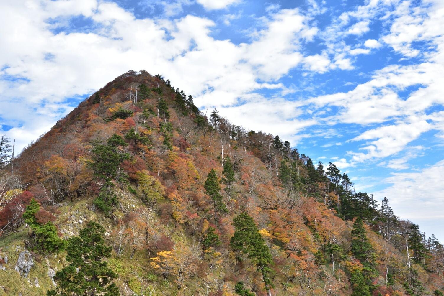 時計回り⛰️秋の🍁大普賢岳⛰️ / ⛅Nori-jiさんの登山の活動データ | YAMAP / ヤマップ