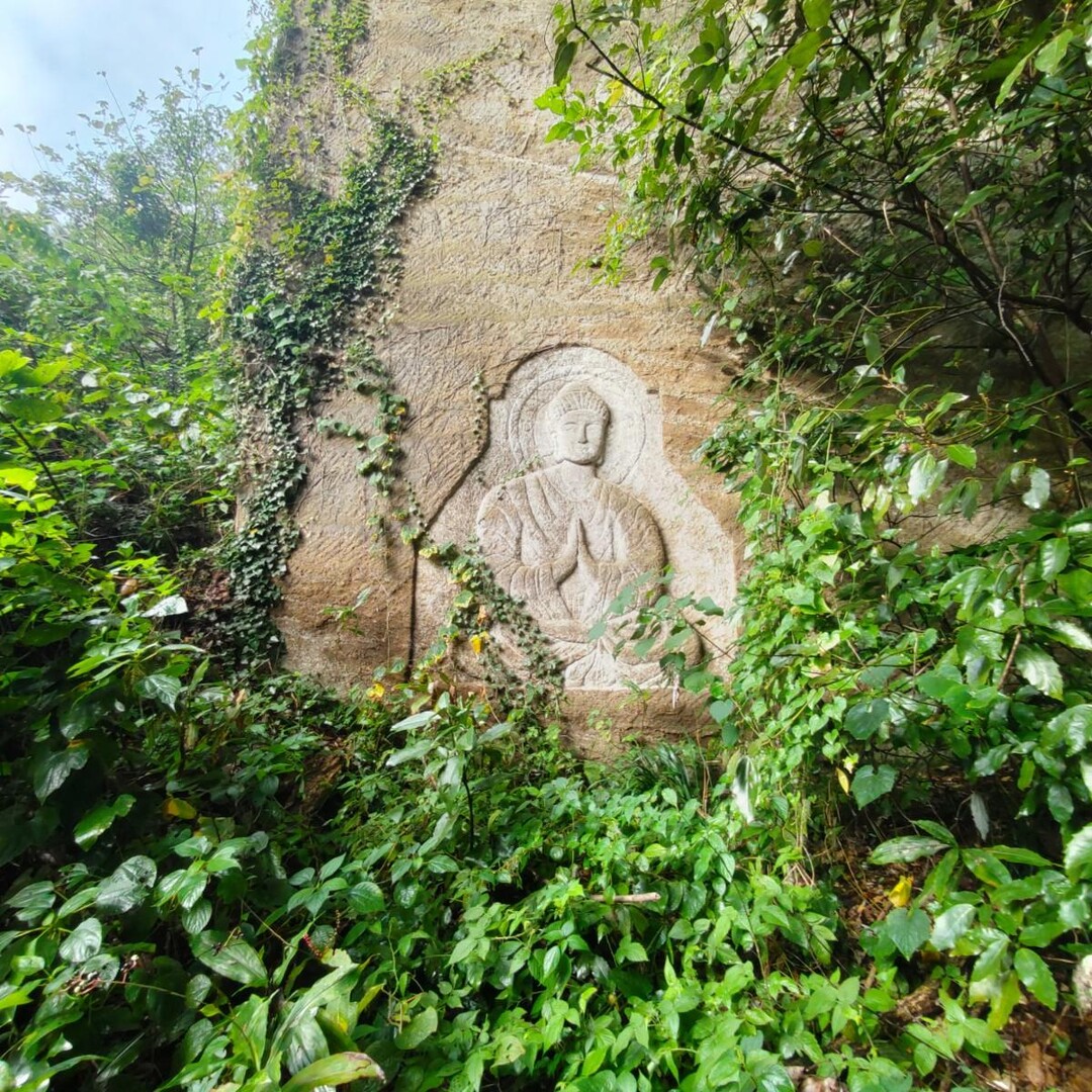 三浦ソロハイキング / tamami_y_mさんの鷹取山の活動データ | YAMAP / ヤマップ