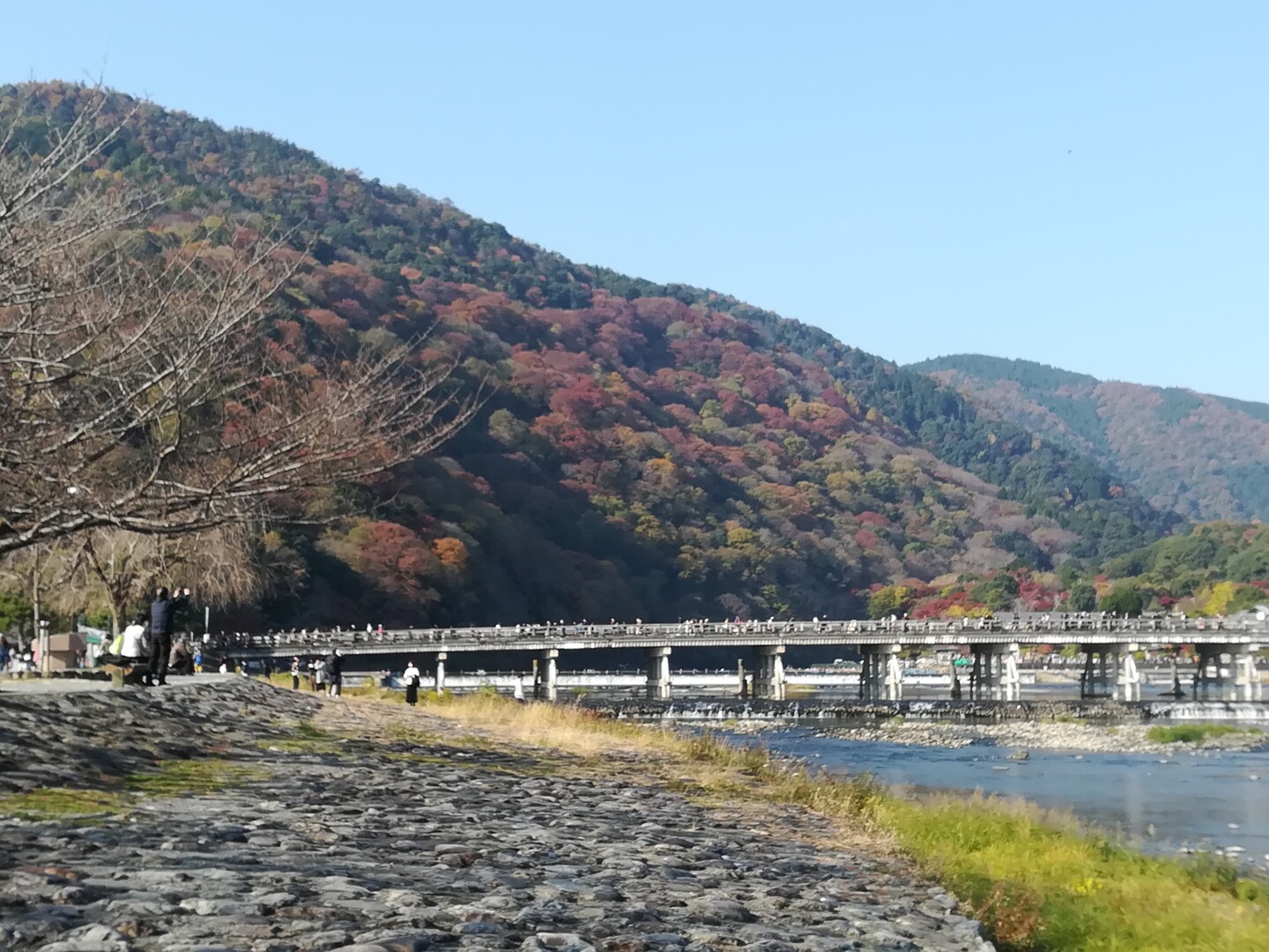 嵐山から清滝川・保津峡を散策 / BENさんの沓掛山・みすぎ山・唐櫃越の活動データ | YAMAP / ヤマップ