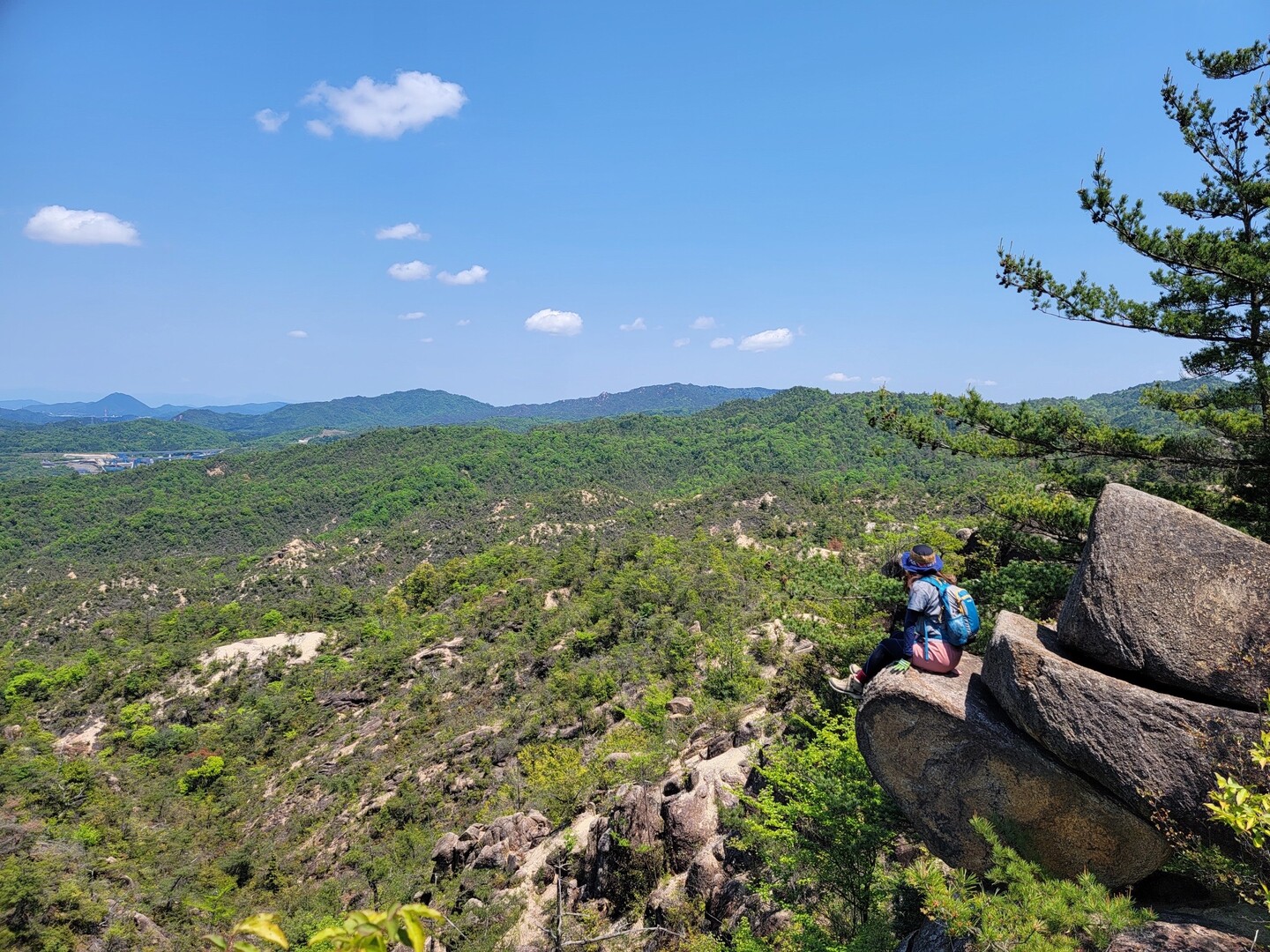 ⛰天然アスレチック⛰ 湖南アルプス1座だけ☝️ / あかりさんの湖南アルプス（太神山・堂山）の活動日記 | YAMAP / ヤマップ