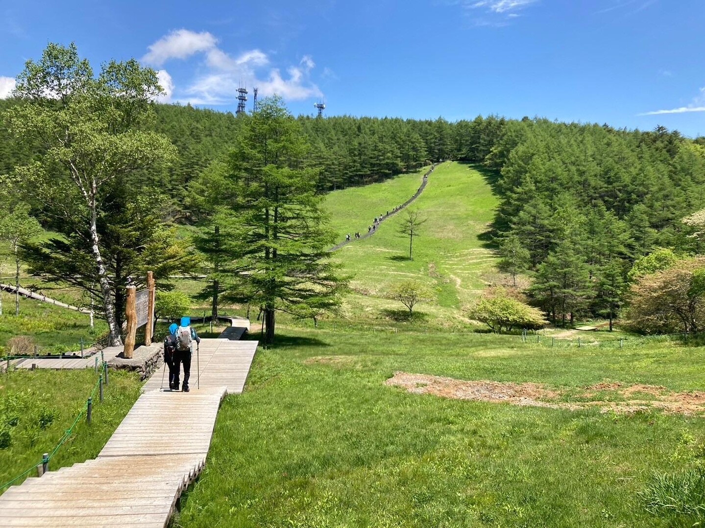 入笠山〜大阿原湿原 / NICKさんの入笠山の活動データ | YAMAP / ヤマップ