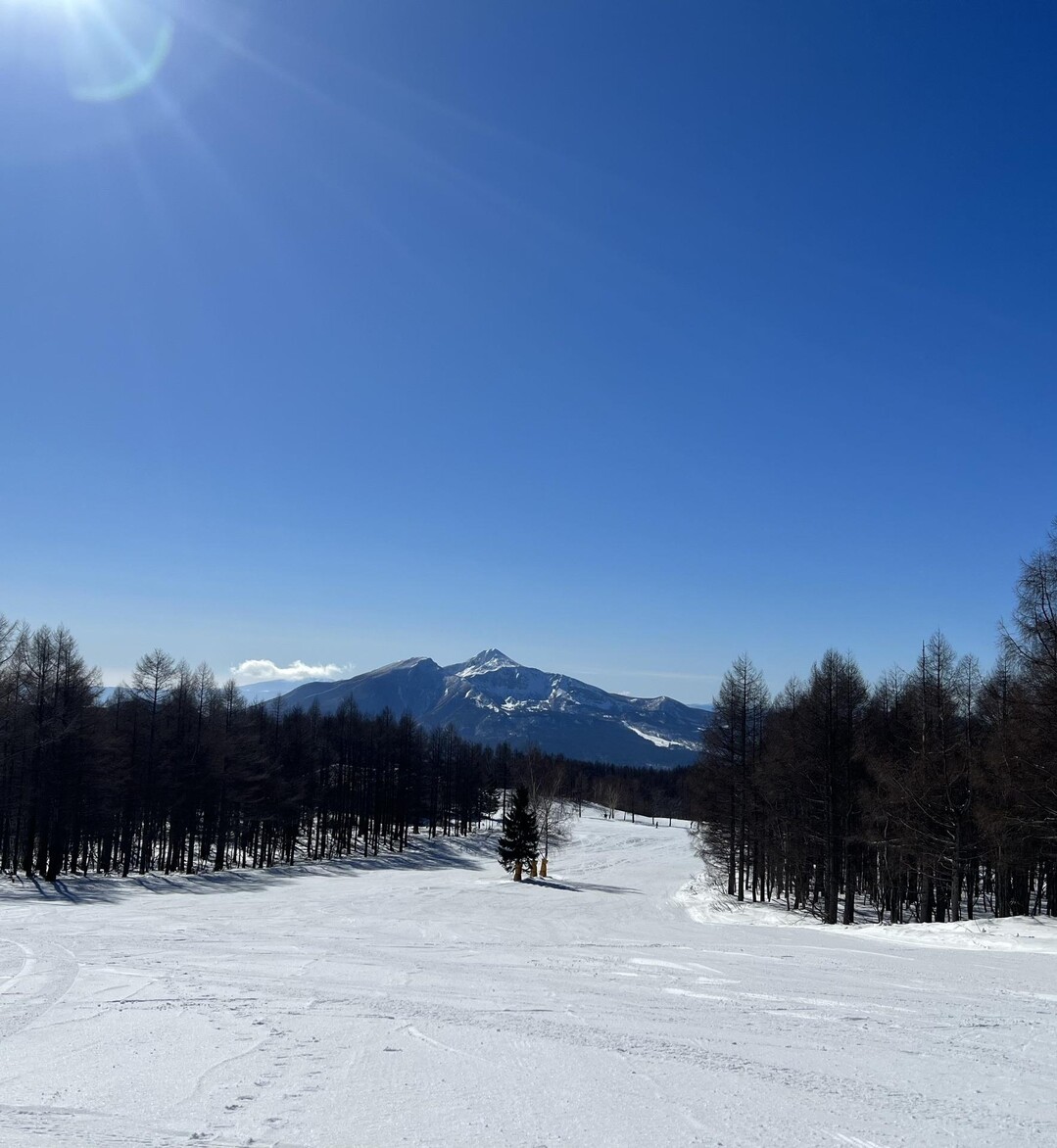 今日はグランデコ🏂 こんな良いお天気の... / KUMIさんのモーメント | YAMAP / ヤマップ