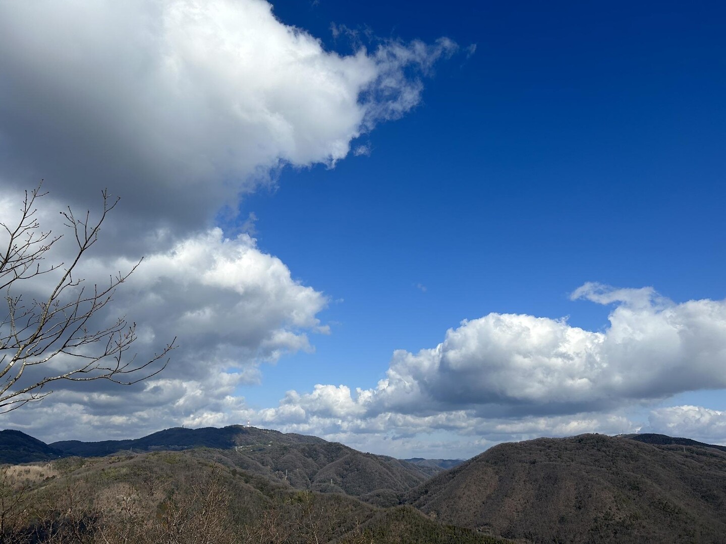 龍ノ口山 / Yokoさんの龍ノ口山の活動データ | YAMAP / ヤマップ