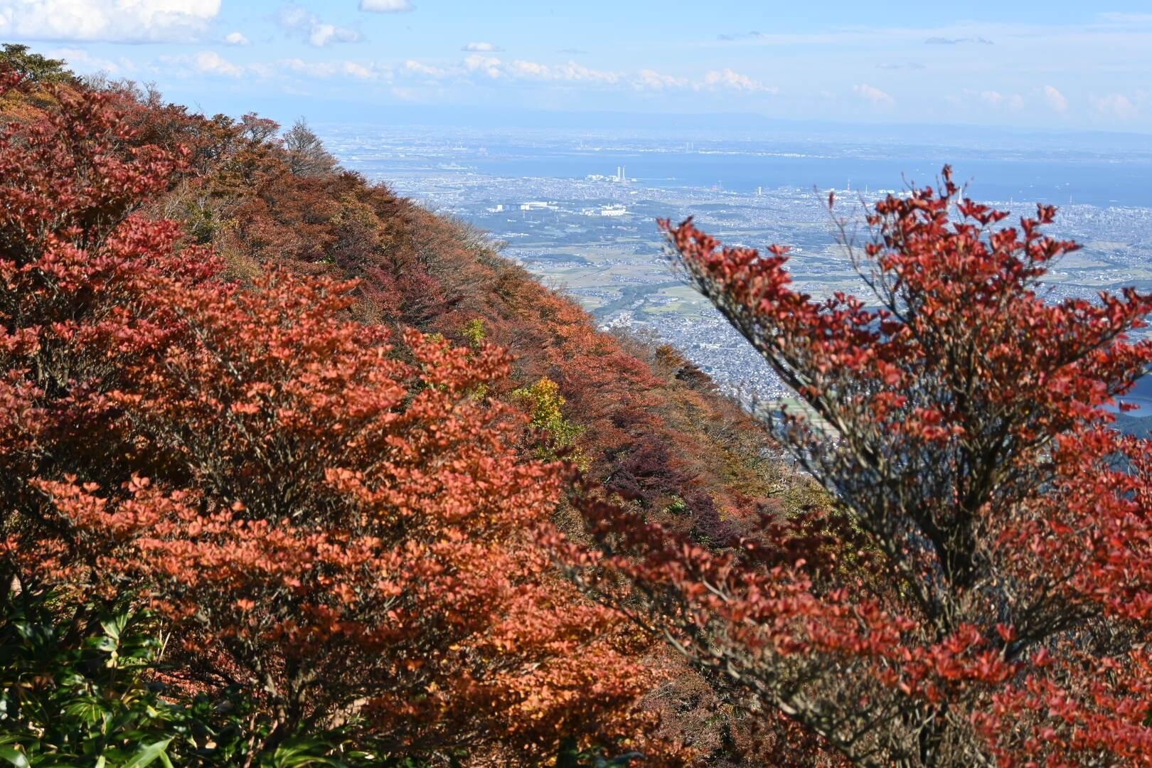 御在所岳（御在所山）・雨乞岳-2022-10-24 / yasuさんの御在所岳（御在所山）・雨乞岳の活動データ | YAMAP / ヤマップ