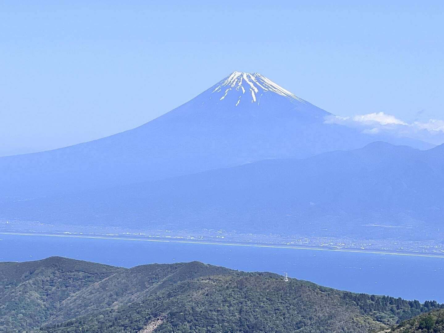 達磨山 / showちゃんさんの金冠山・達磨山・葛城山の活動データ | YAMAP / ヤマップ