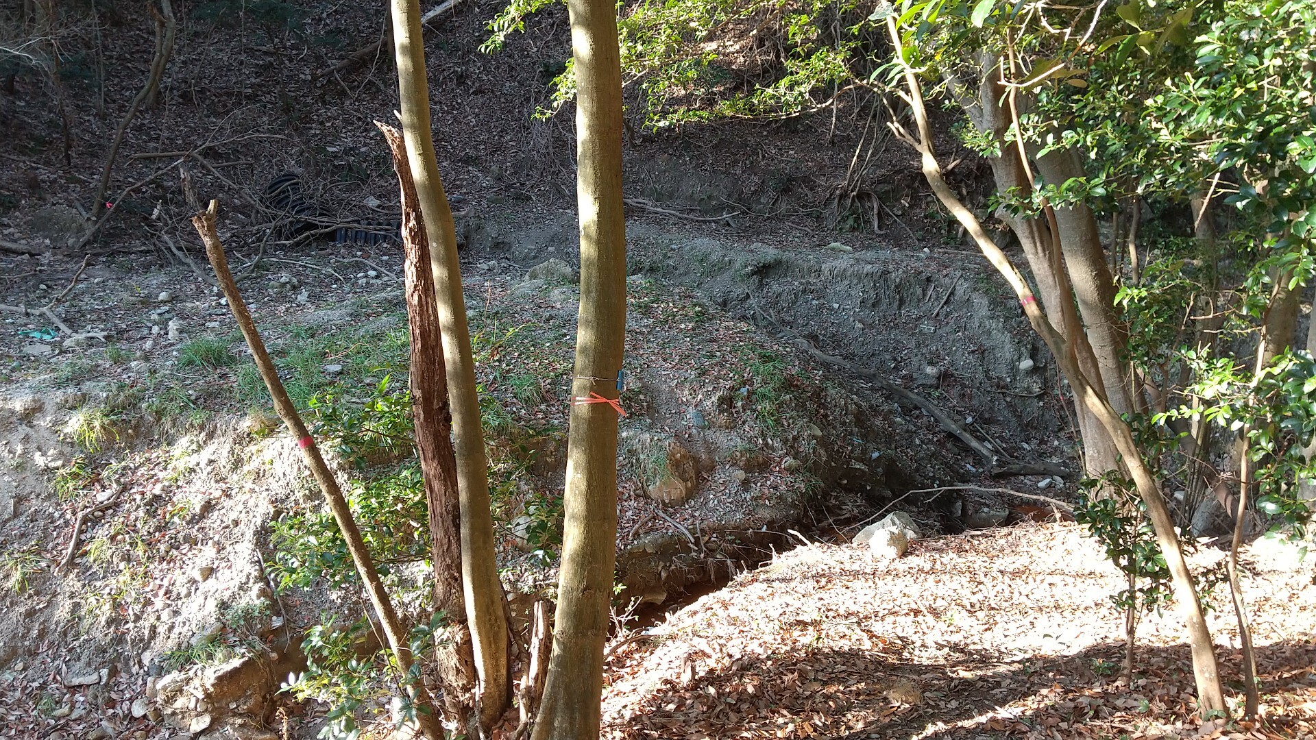 Uさんの投稿したフィールドメモ | YAMAP / ヤマップ