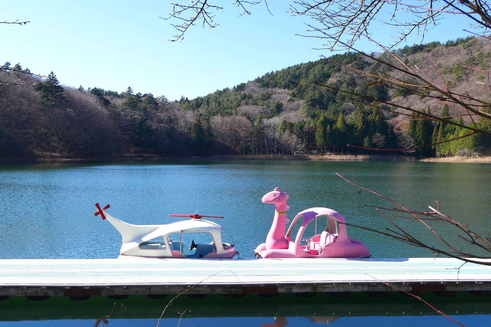 蛾ヶ岳 / ponpokoponさんの蛾ヶ岳・大平山・釈迦ヶ岳の活動データ | YAMAP / ヤマップ