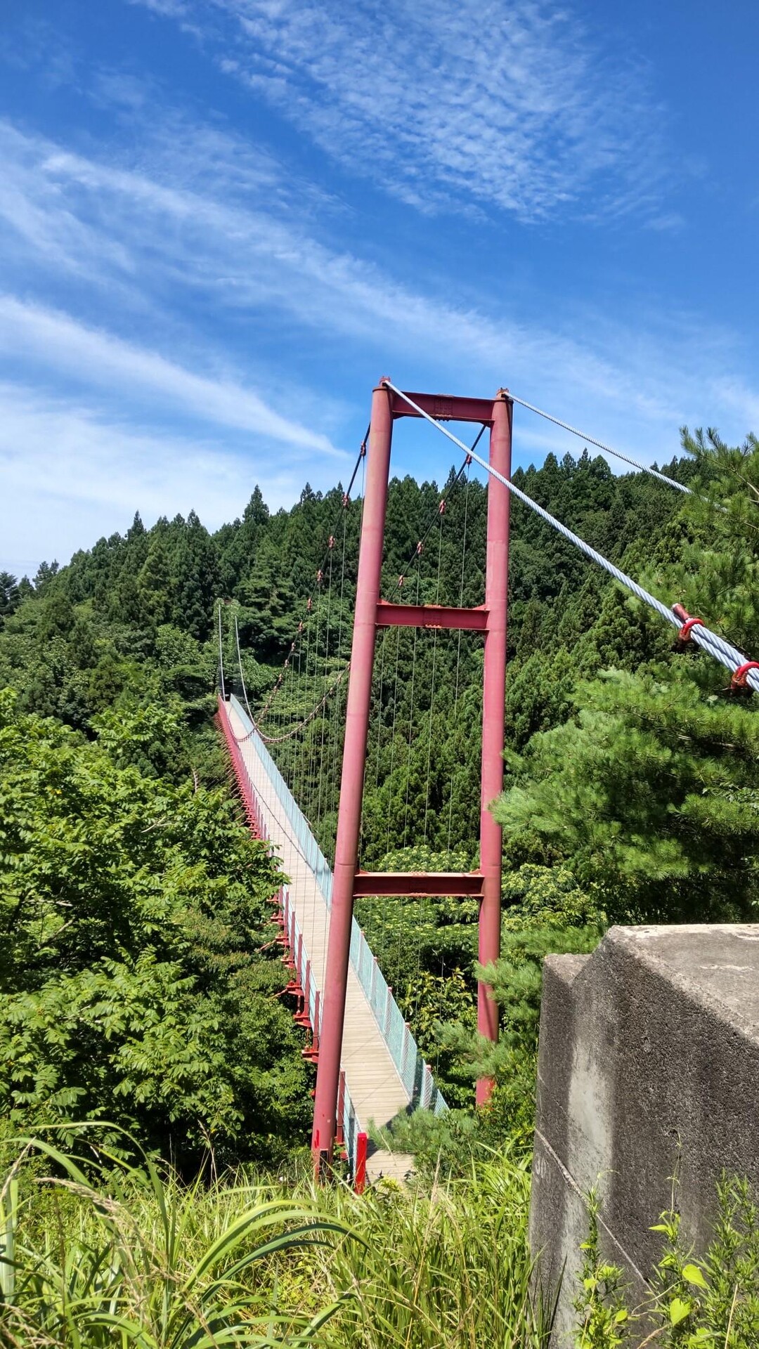国上山・剣ヶ峰・黒滝山 / mamoさんの弥彦山・多宝山・雨乞山の活動データ | YAMAP / ヤマップ