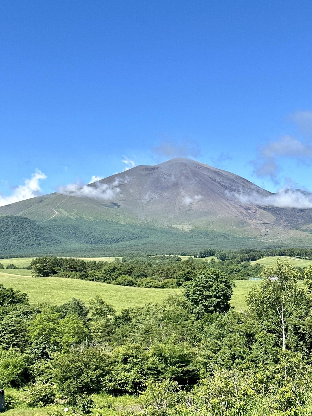 リハビリ登山その4 天丸山 / qkaruさんの鼻曲山・氷妻山・留夫山の活動データ | YAMAP / ヤマップ