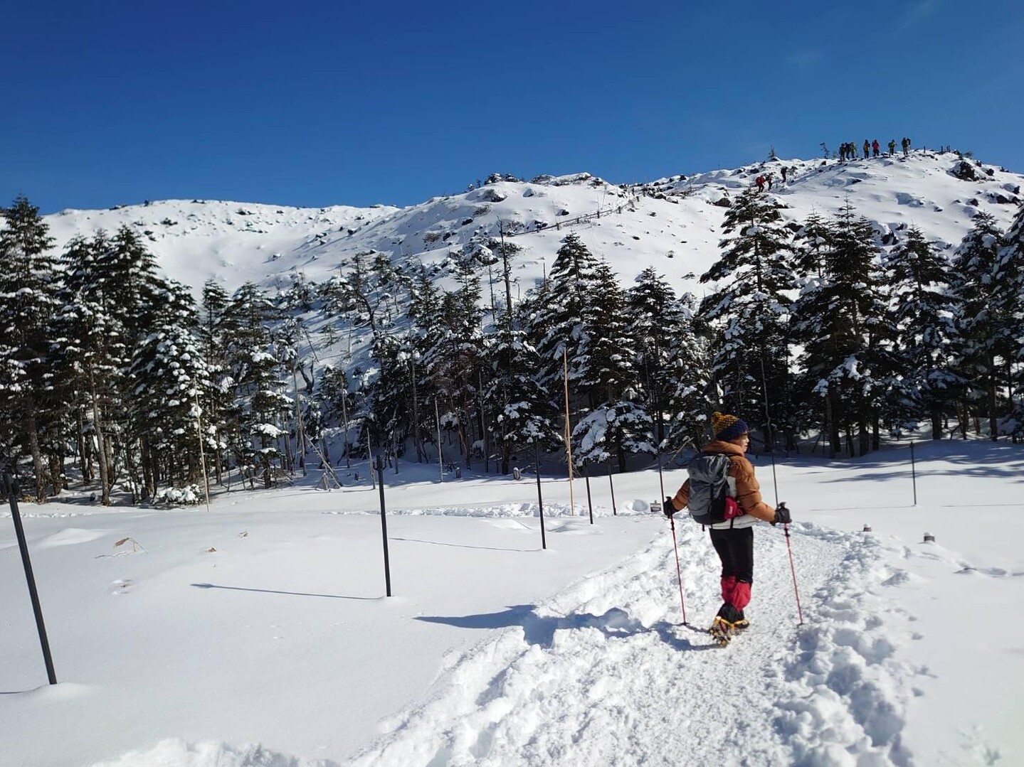 白銀の北横岳へ / hana0910さんの蓼科山・横岳・縞枯山の活動データ | YAMAP / ヤマップ