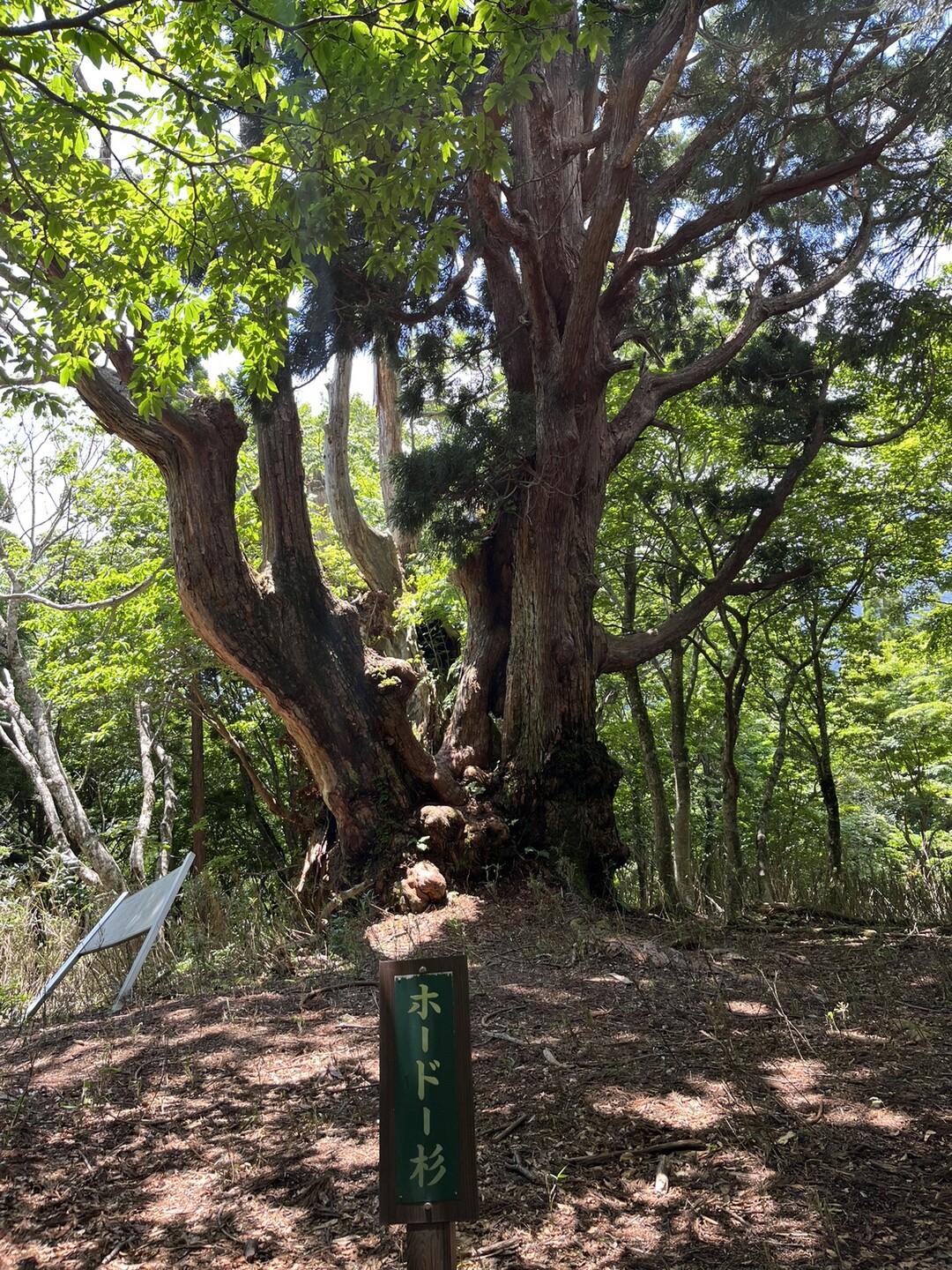 akiraさんの投稿したフィールドメモ | YAMAP / ヤマップ