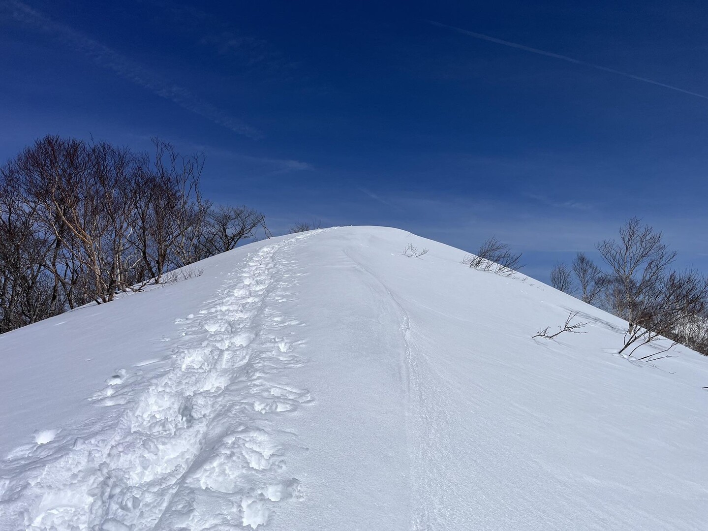 三国山・ワラジカケマツノ頭 / inkさんの仙ノ倉山・平標山・大源太山の活動日記 | YAMAP / ヤマップ