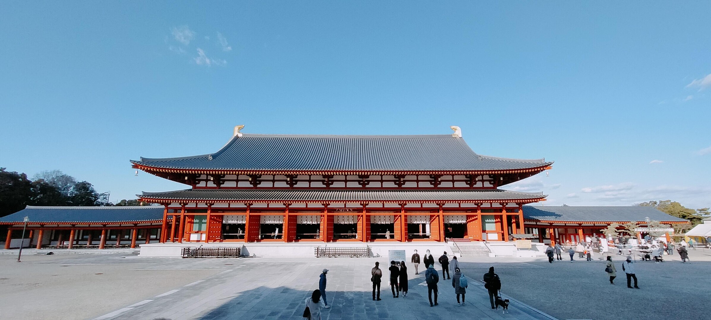 2025年元日（薬師寺） / NAOさんの大和三山（天香久山・畝傍山・耳成山）の活動データ | YAMAP / ヤマップ