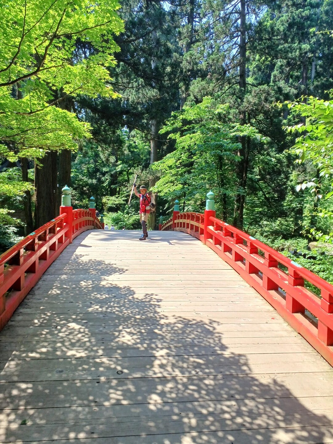 羽黒山、参拝登山！🙏 / hanabuさんの羽黒山の活動データ | YAMAP / ヤマップ