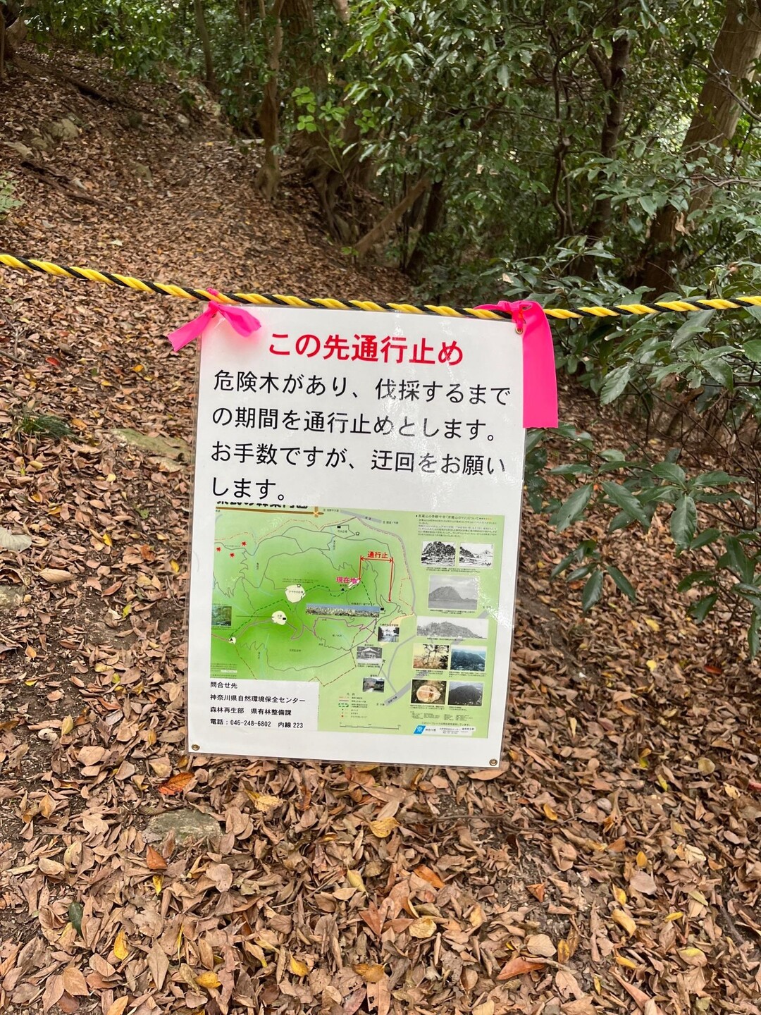 azyobuzinさんの投稿したフィールドメモ | YAMAP / ヤマップ