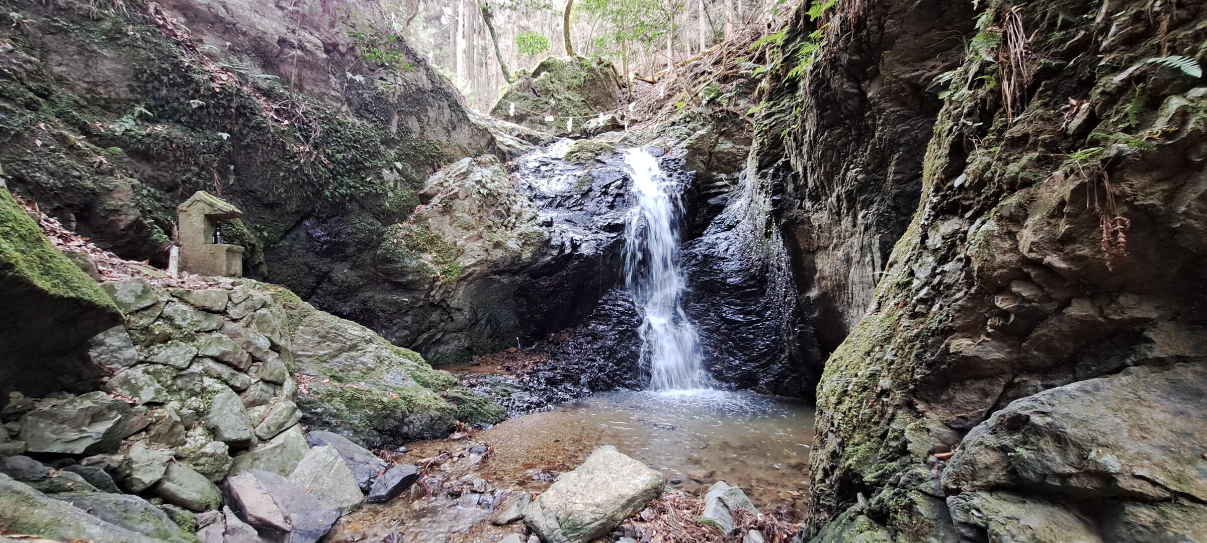 kame11さんの投稿したフィールドメモ | YAMAP / ヤマップ