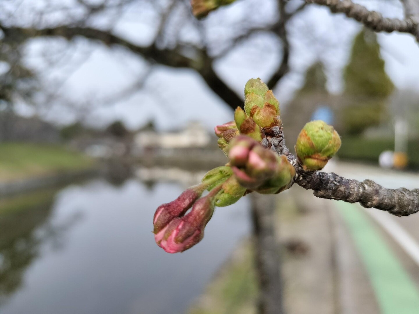 所要の為、春休みのサキボと2人で実家へ。... / マコト from team teadaさんのモーメント | YAMAP / ヤマップ