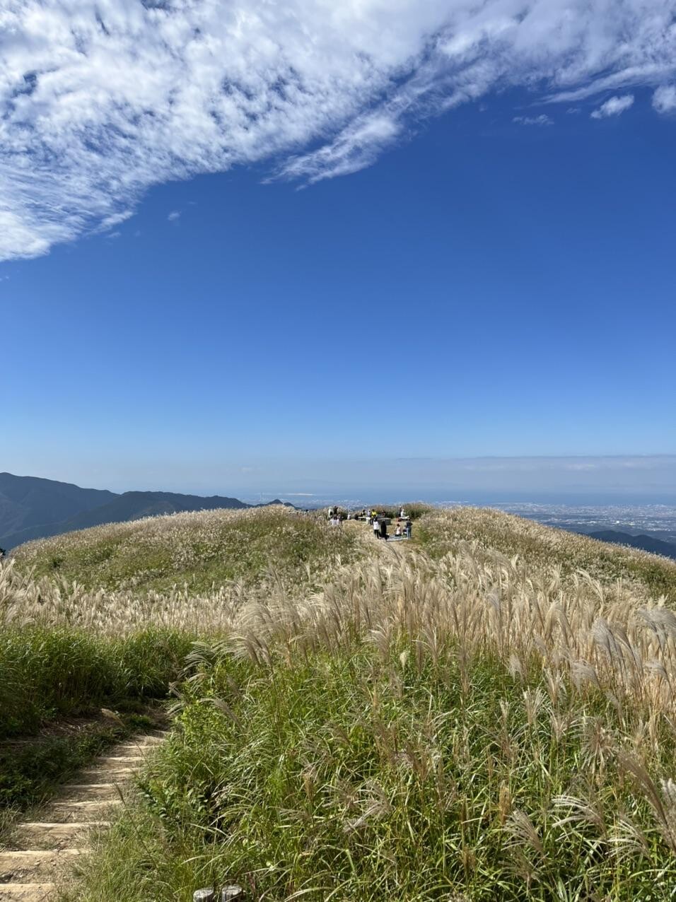 Mt.top山のページ | YAMAP / ヤマップ