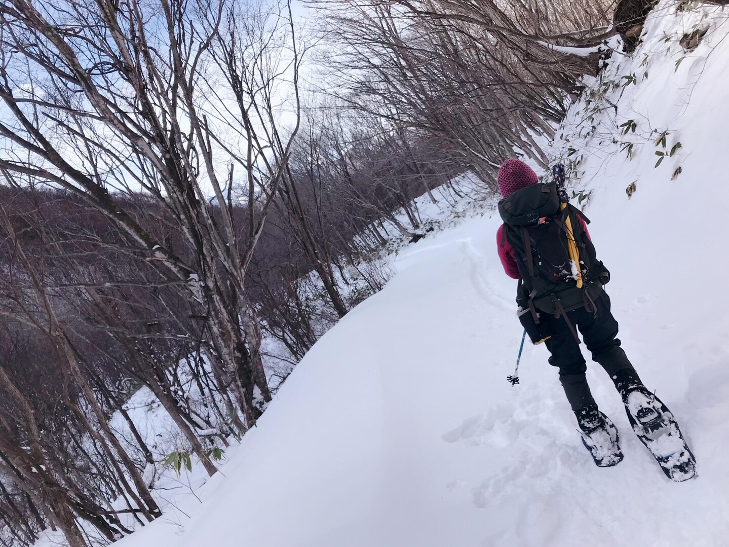 藪雪MIX踏み抜き多発の平標ヤカイ沢左岸 / GanjaEXさんの仙ノ倉山・平標山・大源太山の活動日記 | YAMAP / ヤマップ