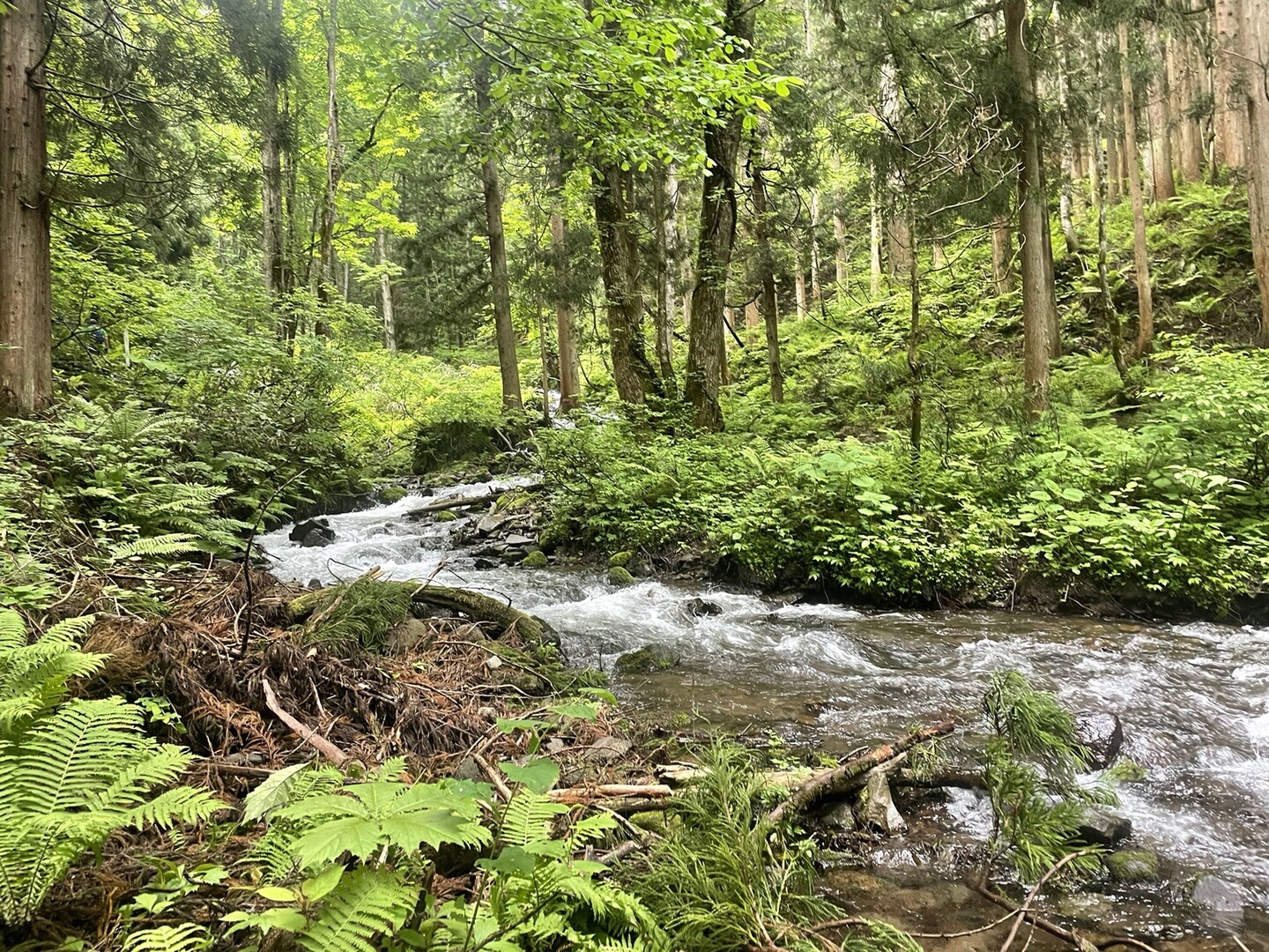 奥信濃100（50k） / azunyankoさんのトレイルランニングの活動データ | YAMAP / ヤマップ
