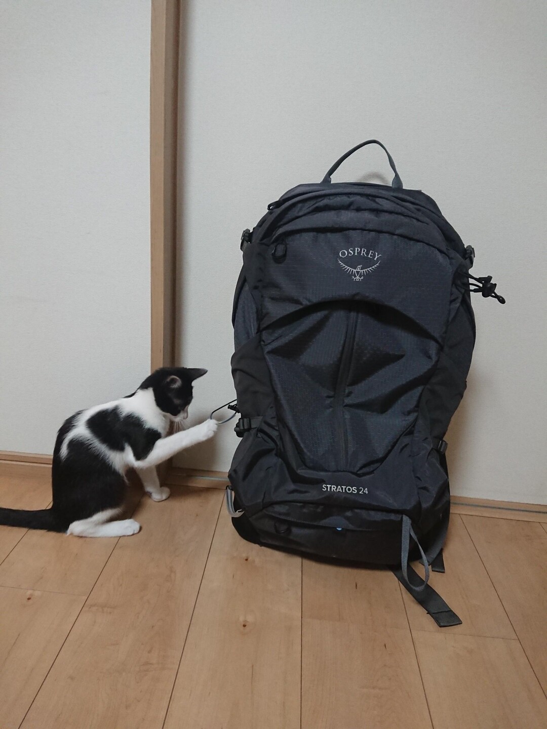 初モーメント🎵 地元の先輩がULザック... / fukakenさんのモーメント | YAMAP / ヤマップ