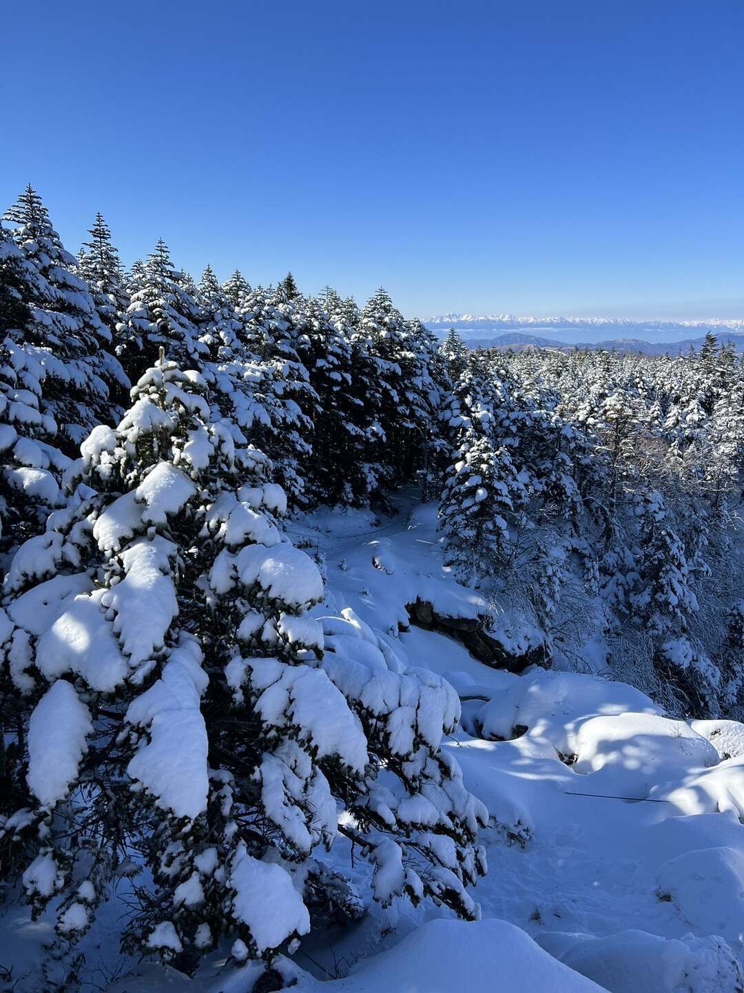 雪の東天狗岳と西天狗岳！ / yuiさんの八ヶ岳（赤岳・硫黄岳・天狗岳）の活動データ | YAMAP / ヤマップ