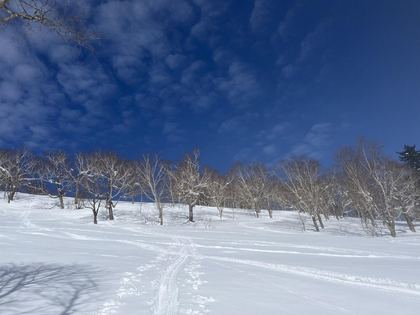 天幕山 / maya-mayaさんの天幕山の活動データ | YAMAP / ヤマップ