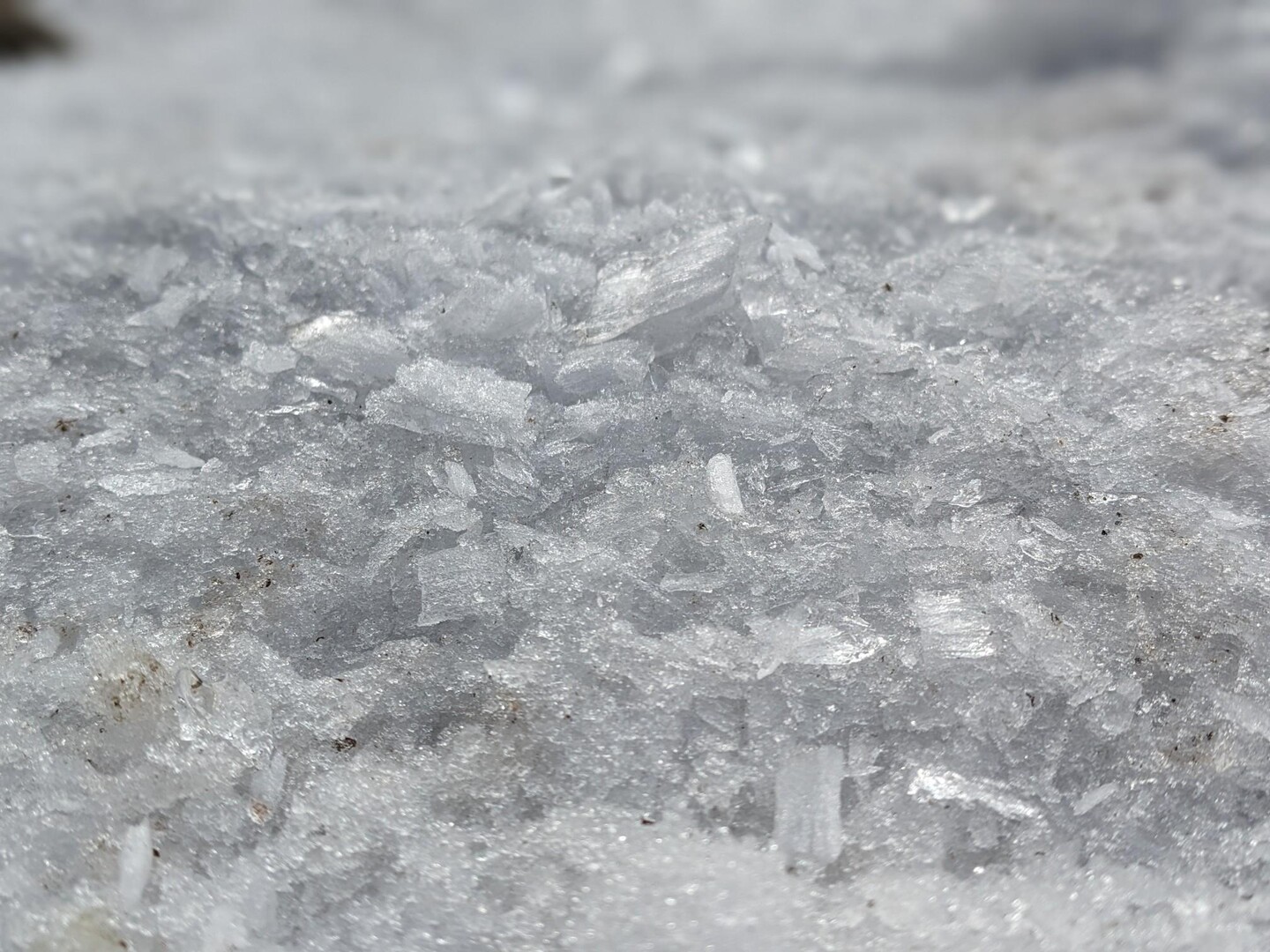 金剛山・葛木岳・湧出岳 / mo-mo-さんの葛城修験エリアマップ（金剛山周辺）の活動データ | YAMAP / ヤマップ