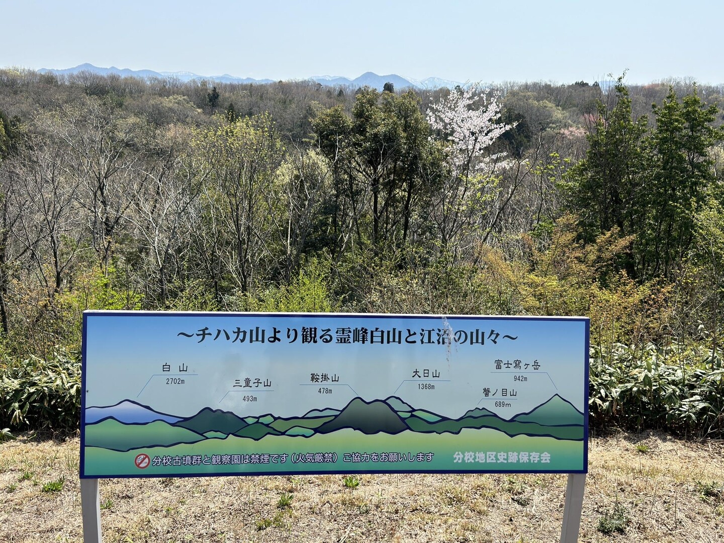 血墓山•前山 2024-4-14 / jt0450さんの加賀市の活動データ | YAMAP / ヤマップ