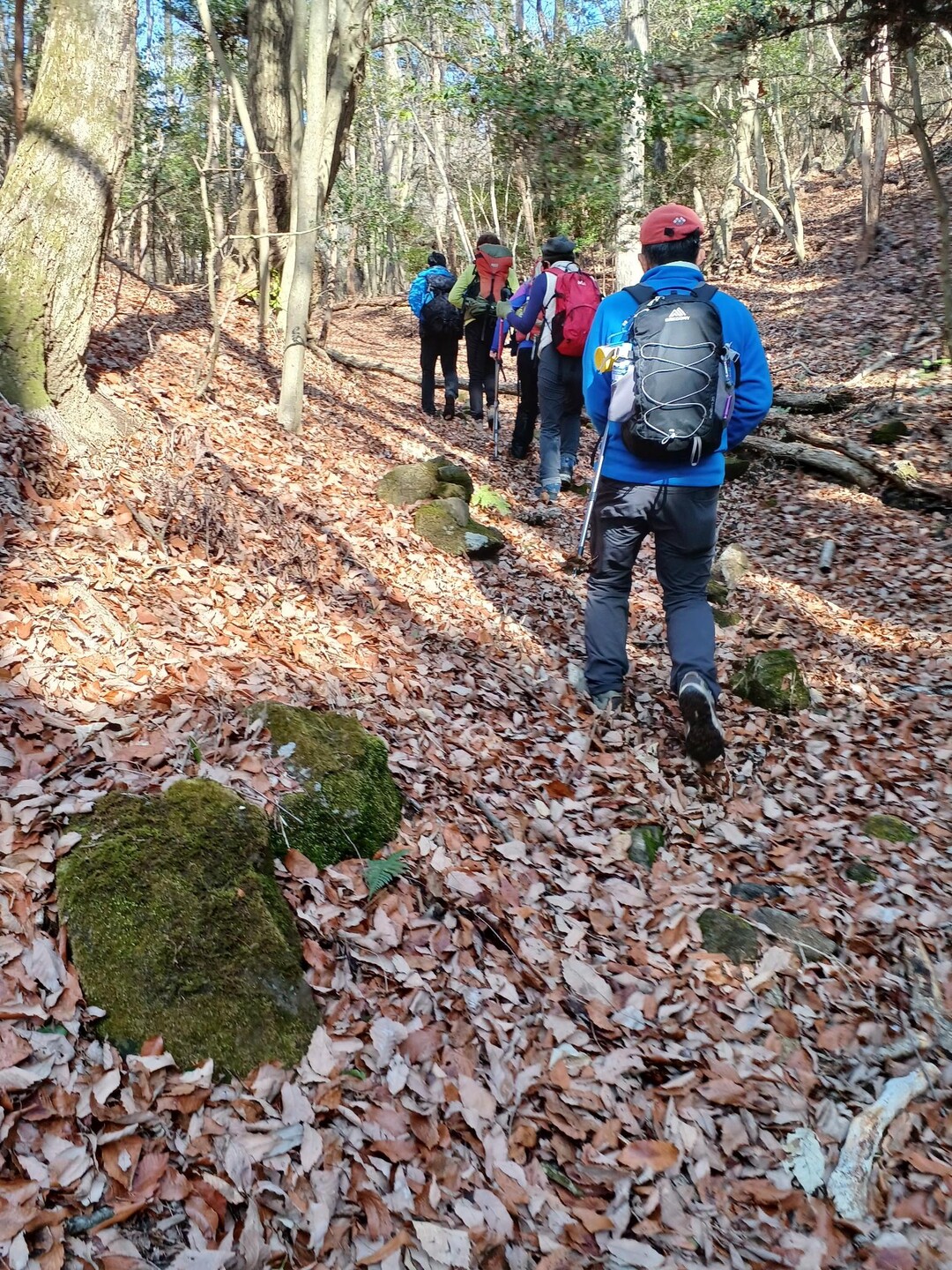 龍王山 / yokkoさんの三輪山・巻向山・龍王山の活動データ | YAMAP / ヤマップ