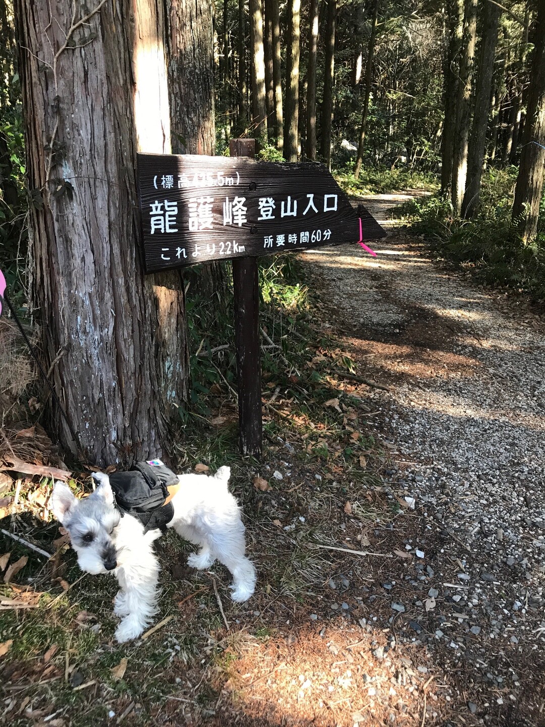 Meeyaさんの投稿したフィールドメモ | YAMAP / ヤマップ