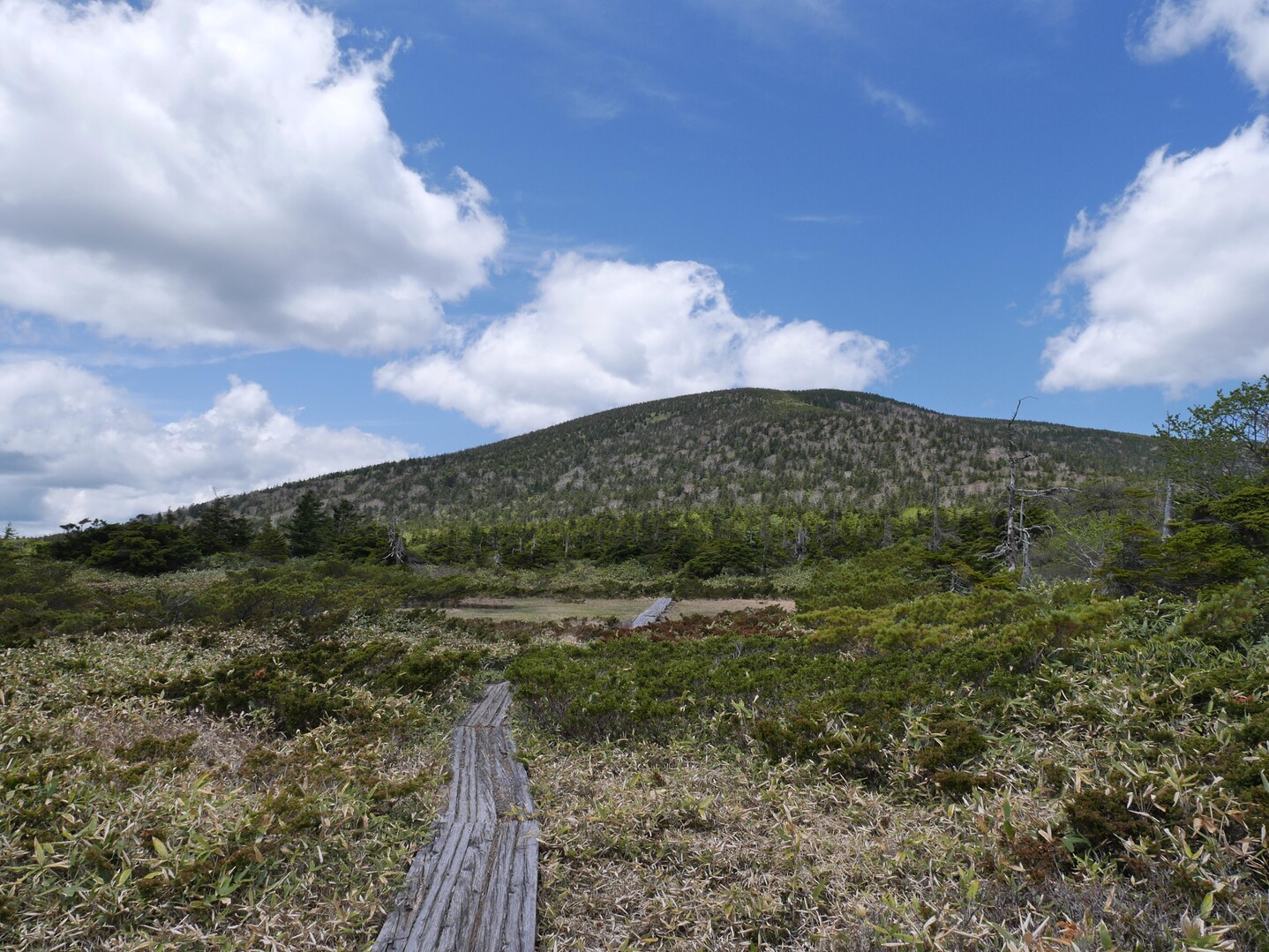 吾妻小富士・東吾妻山 / kajiさんの吾妻山・一切経山の活動データ | YAMAP / ヤマップ