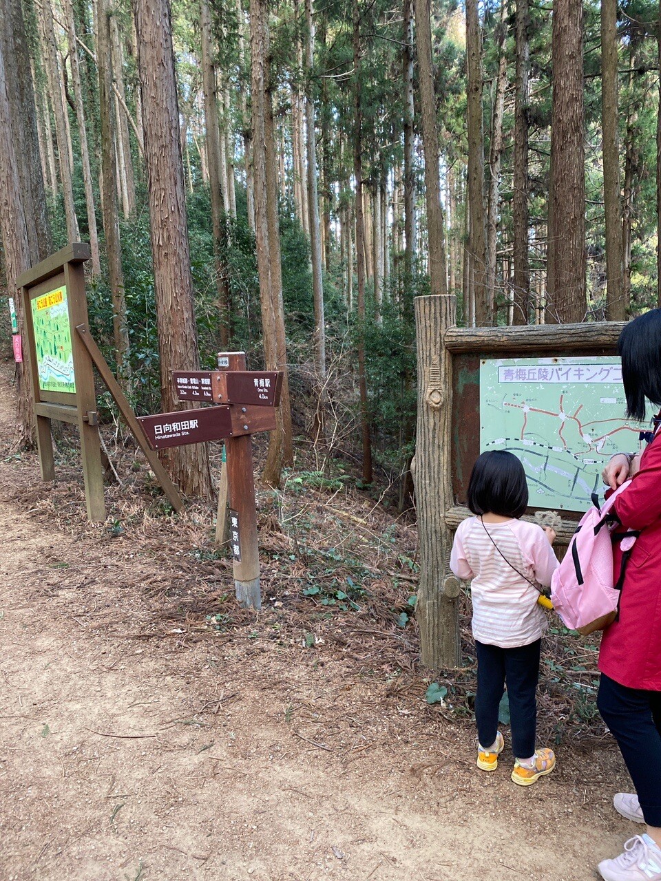 Orsayさんの投稿したフィールドメモ | YAMAP / ヤマップ