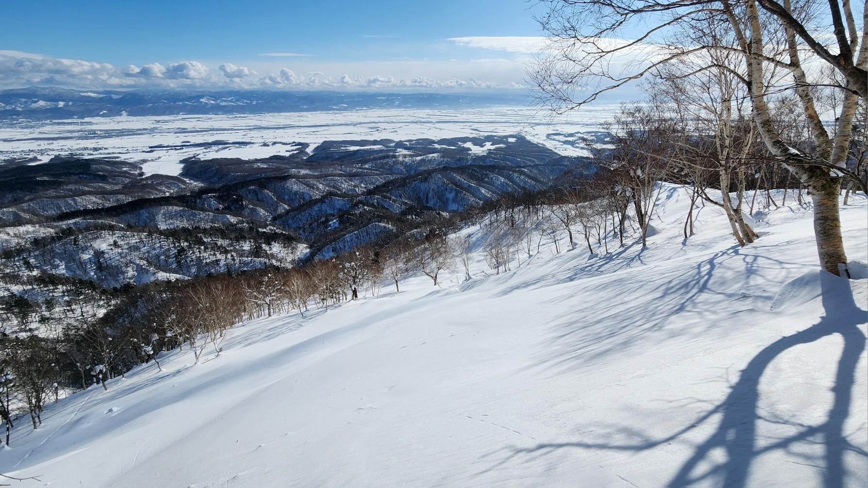 ⛷鳥越山BC 札的内川側から -2025-01-14 / moさんの神居尻山・ピンネシリの活動データ | YAMAP / ヤマップ