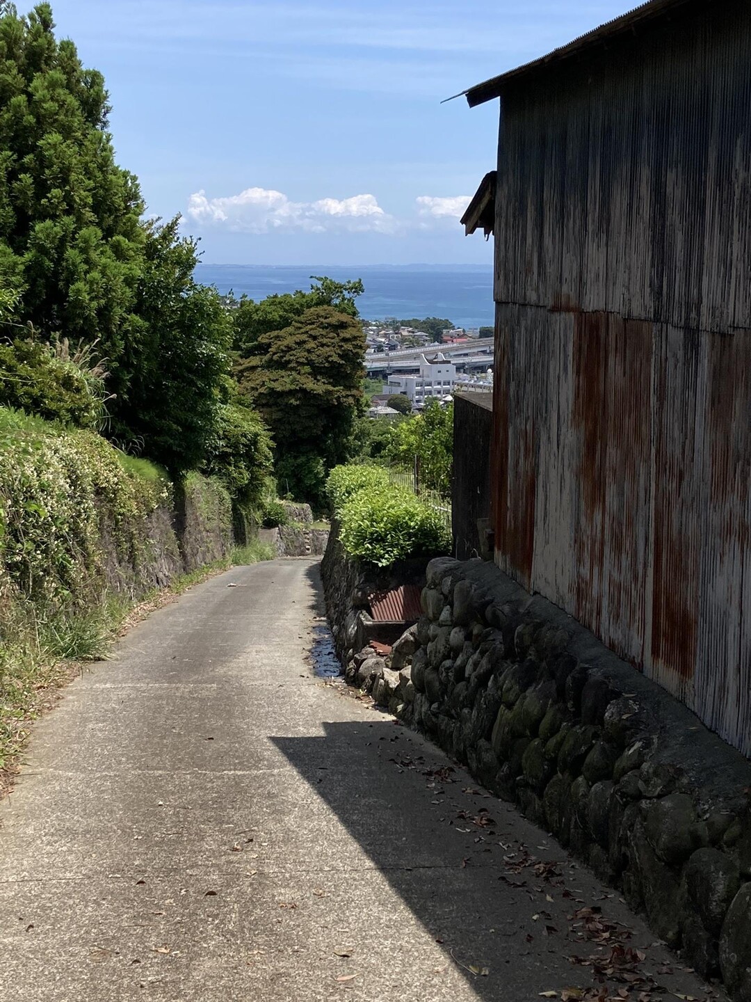 石垣山城 / koyunisoさんの幕山・南郷山の活動データ | YAMAP / ヤマップ