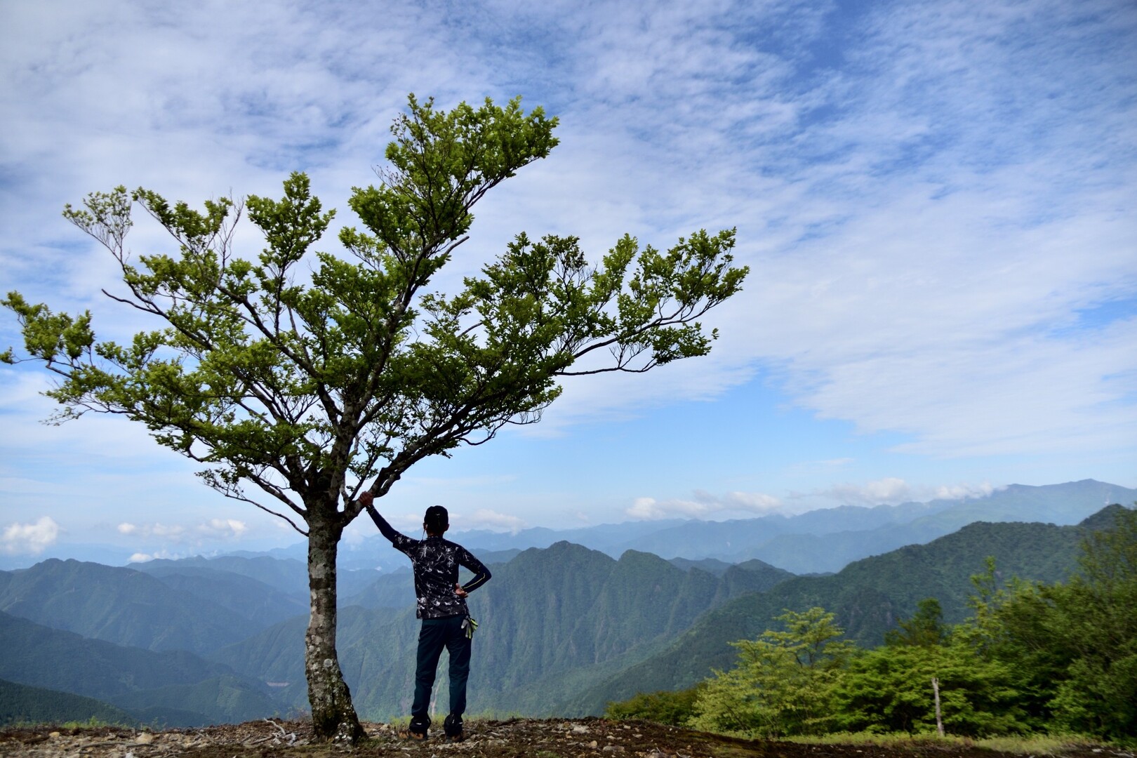 大台ヶ原山（日出ヶ岳）・地倉山・コブシ嶺・大蛇グラ / ⛅Nori-jiさんの大台ヶ原山・日出ヶ岳・大杉谷の活動データ | YAMAP / ヤマップ