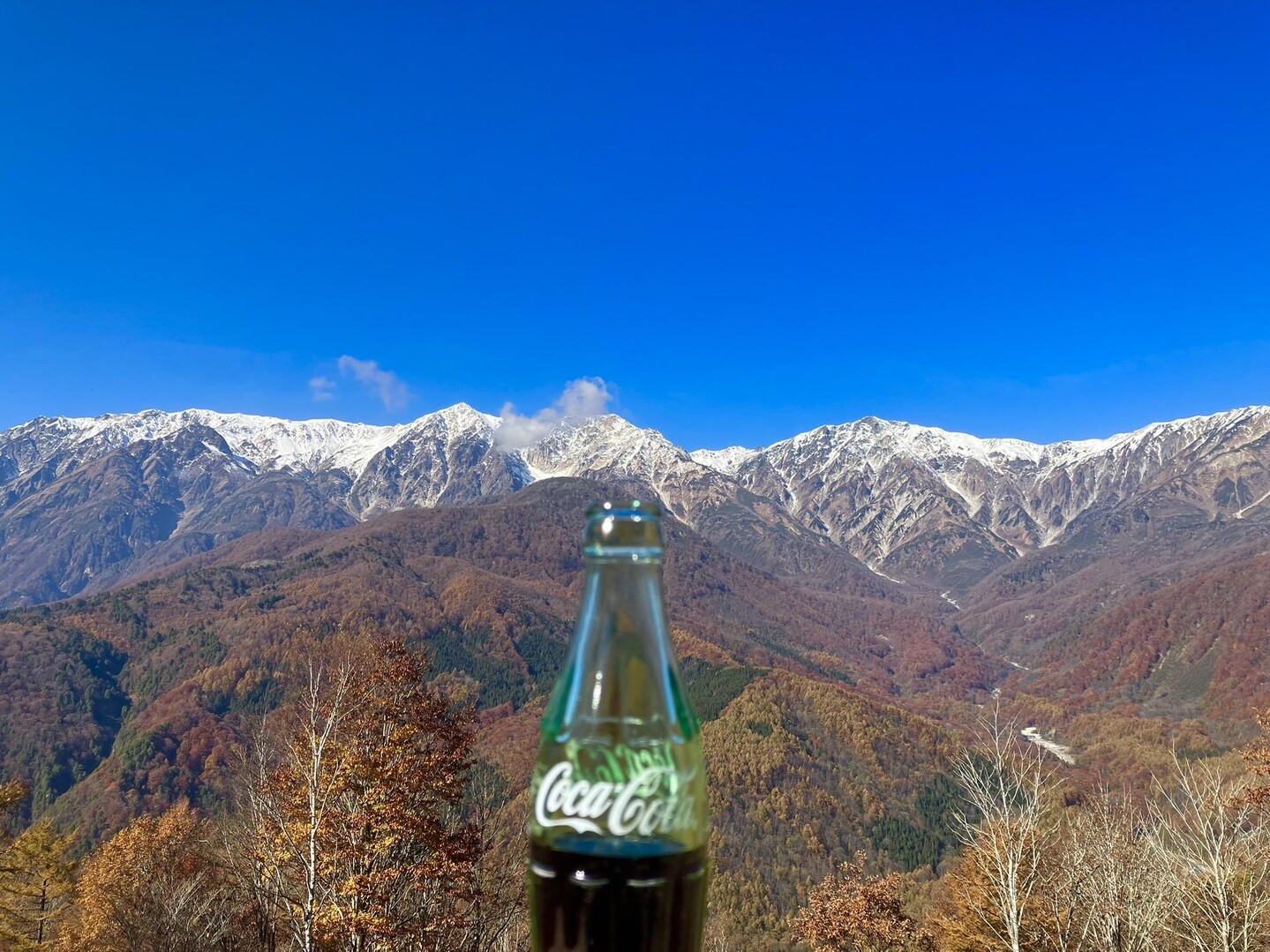 いろいろありましたが、会えました🎵 / Naluさんのモーメント | YAMAP / ヤマップ