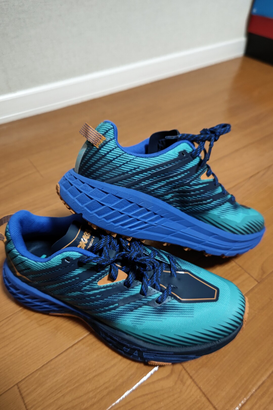 にゅーシューズ！ HOKA ONE O... / といさんのモーメント | YAMAP / ヤマップ