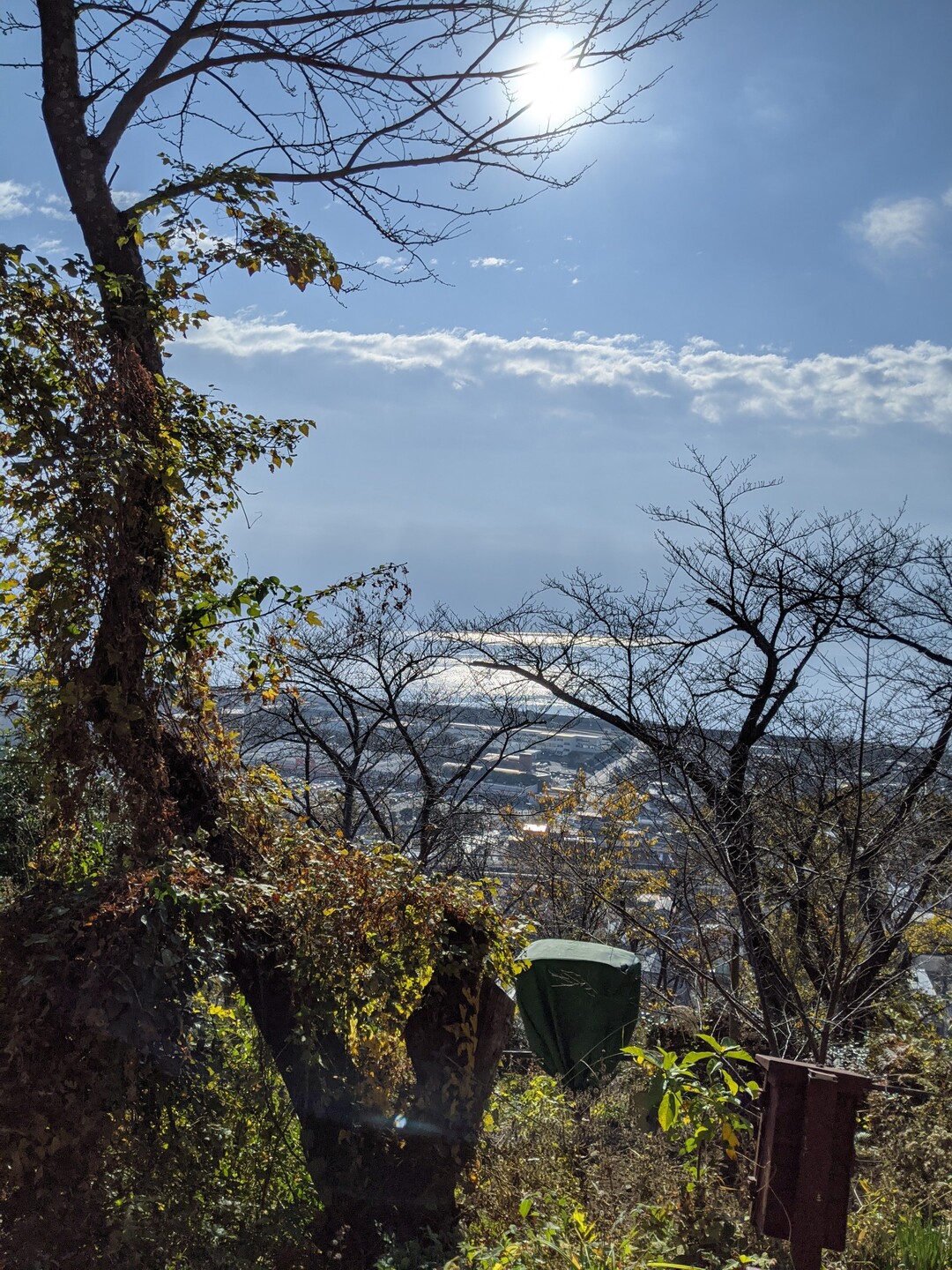御殿山-2020-12-12 / tomoさんの金丸山・大丸山・雨乞山の活動データ | YAMAP / ヤマップ