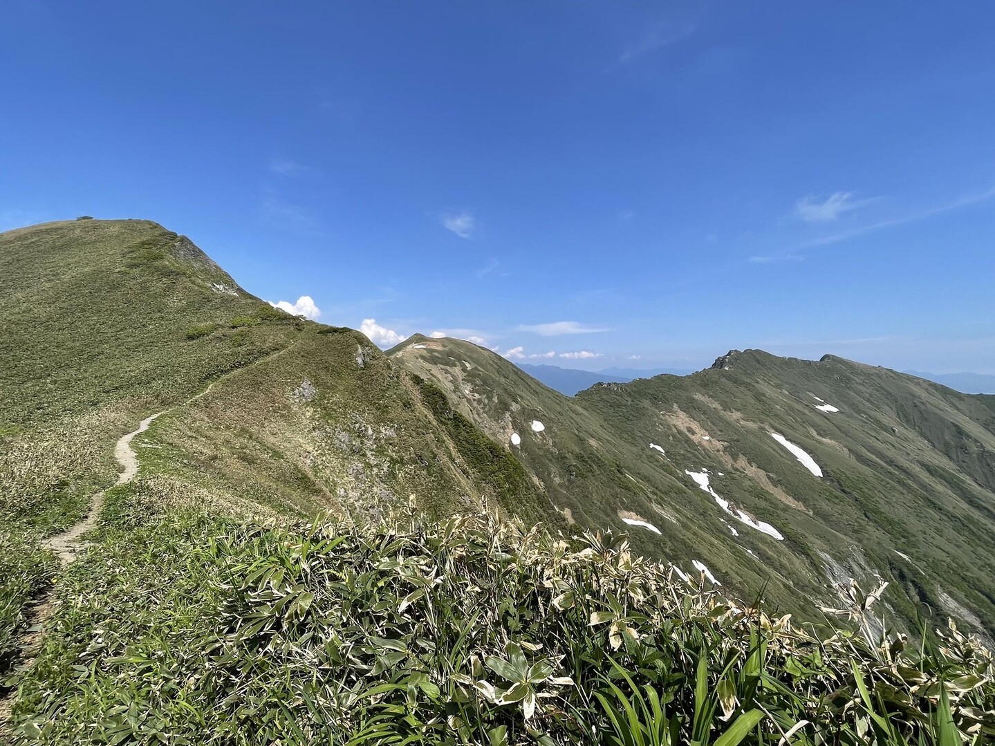 谷川岳・一ノ倉岳・茂倉岳（西黒尾根→茂倉新道）：初夏の花散策 / cappuccina＊カプチーナ☕️さんの谷川岳・七ツ小屋山・大源太山の活動日記 | YAMAP / ヤマップ