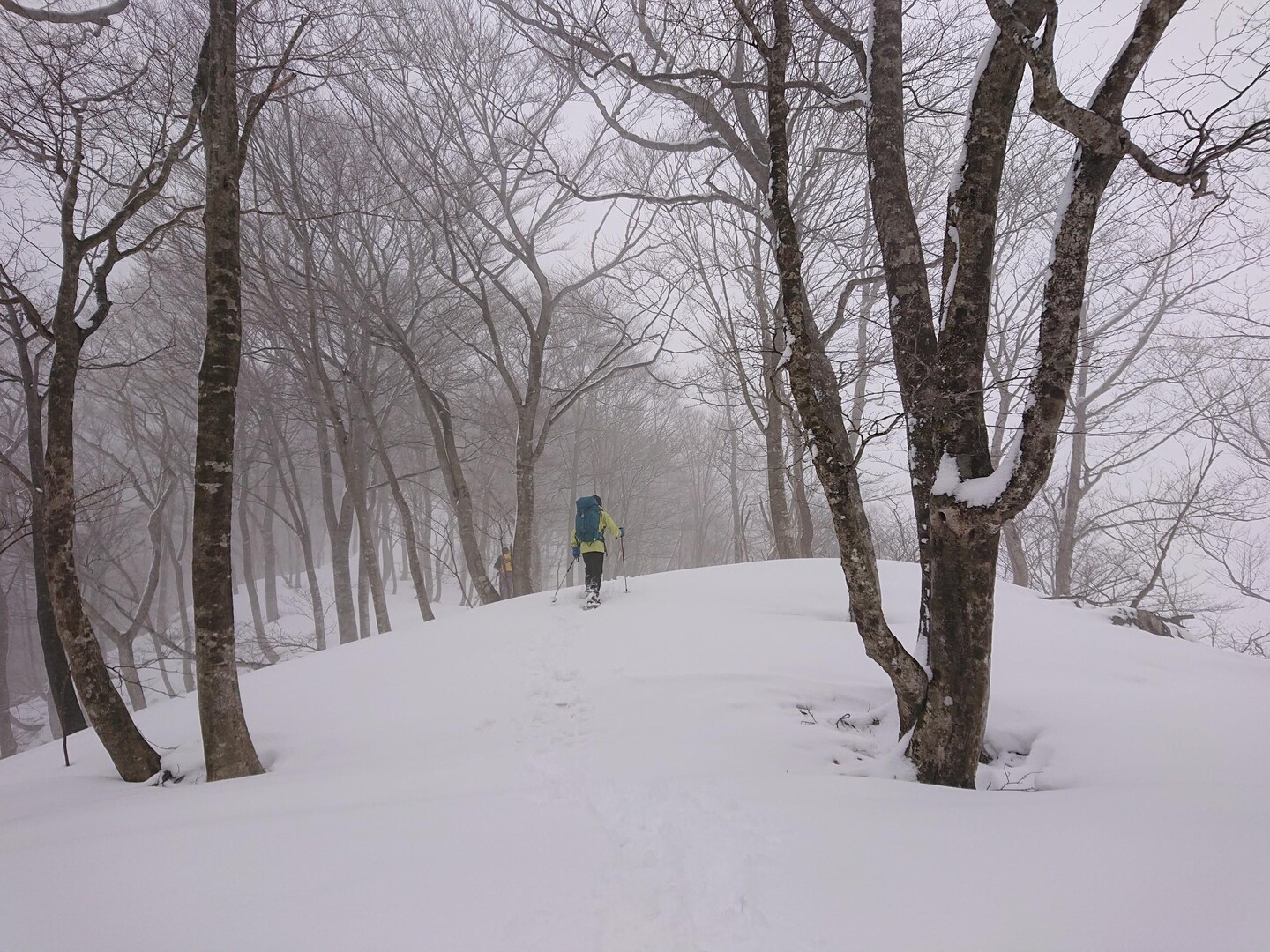 雷倉へ / shi-ruさんの小津権現山・花房山の活動データ | YAMAP / ヤマップ